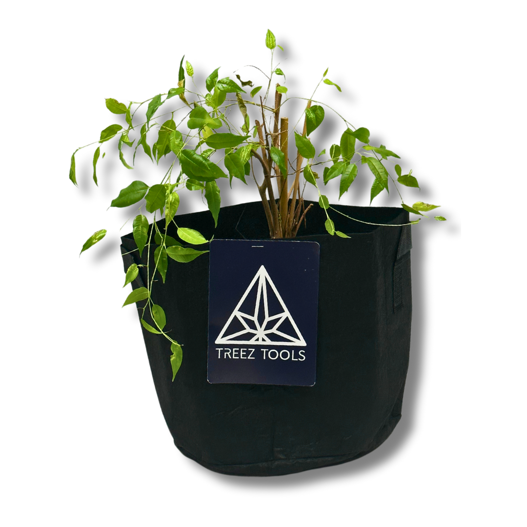 Grow Pots | Treez Tools